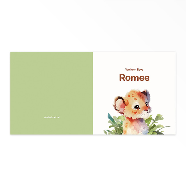 Gevouwen Geboortekaartjes Kleine Jungle Studio Draak